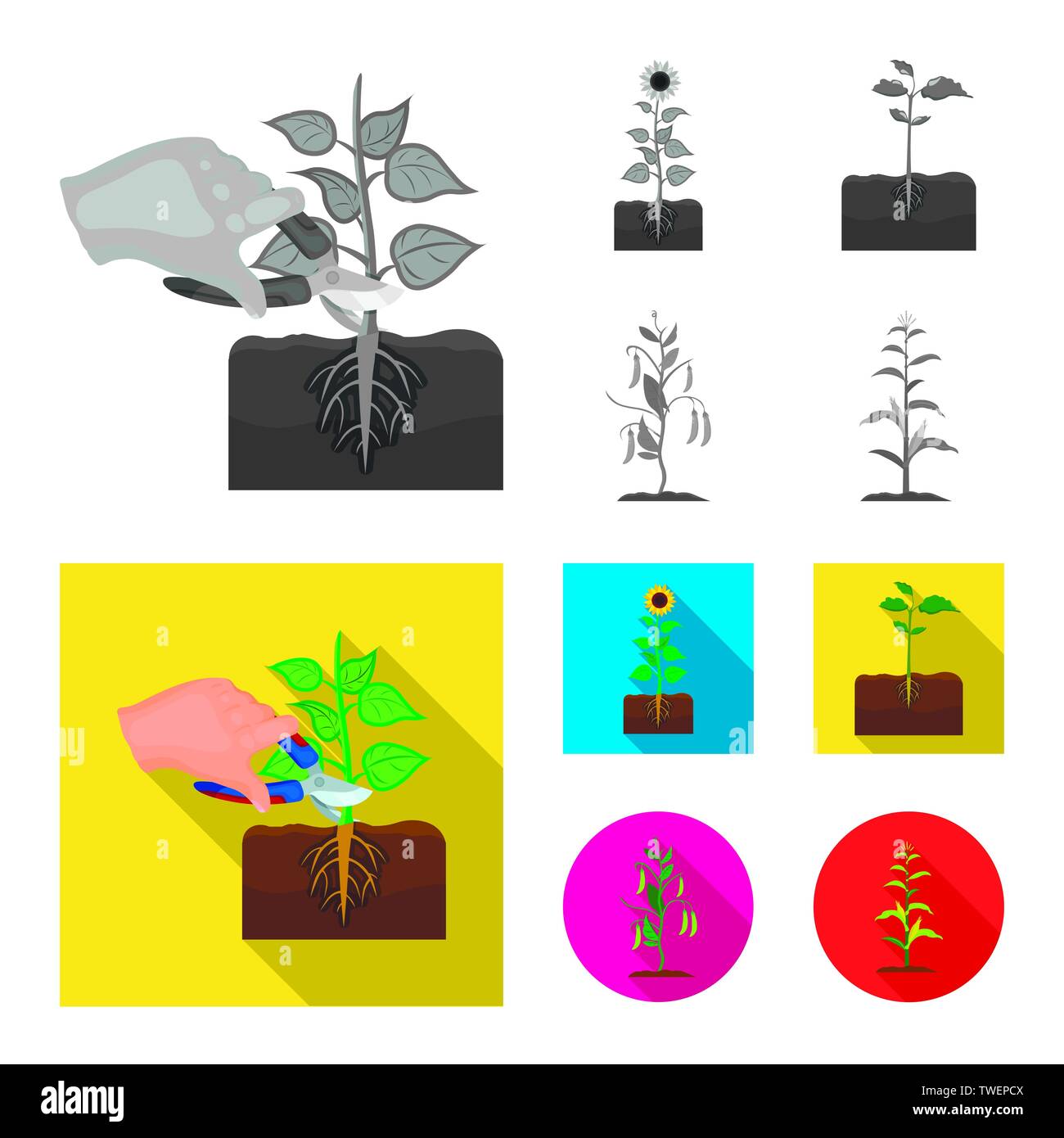 Vector Vectors Stock Vector Image & Art - Alamy