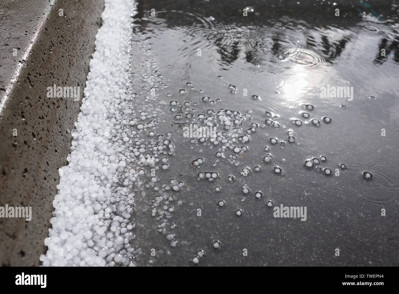Hail on the pavement after a thunderstorm on summer day Stock Photo - Alamy