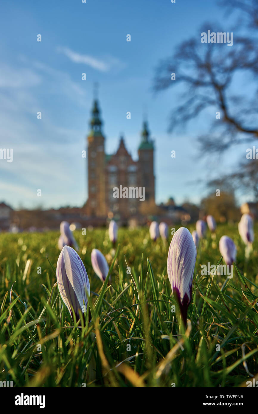 Kongens have castle hi-res stock photography and images - Alamy