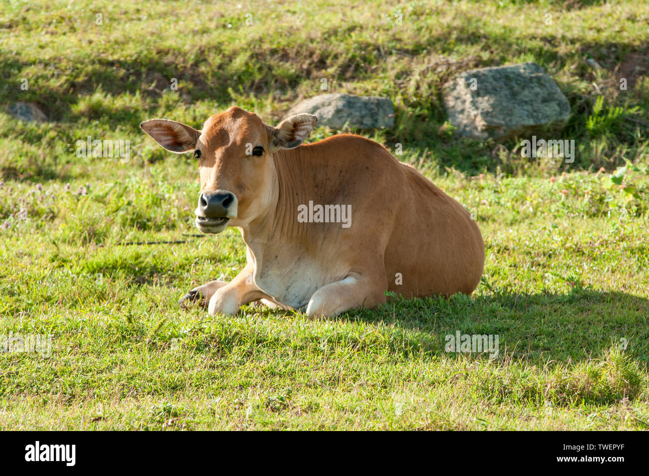 Pingtan island hi-res stock photography and images - Alamy