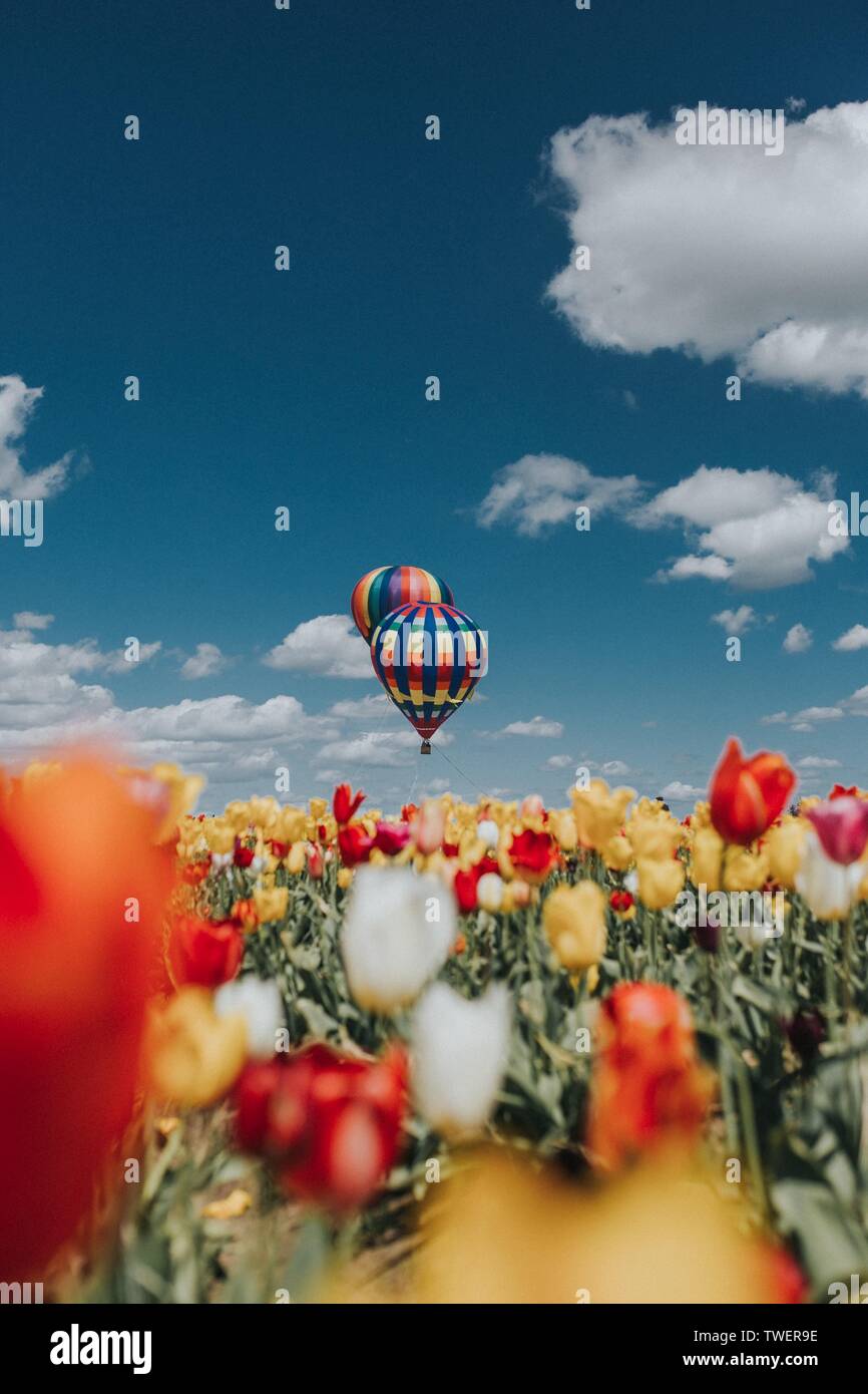 Image is public domain hi-res stock photography and images - Alamy