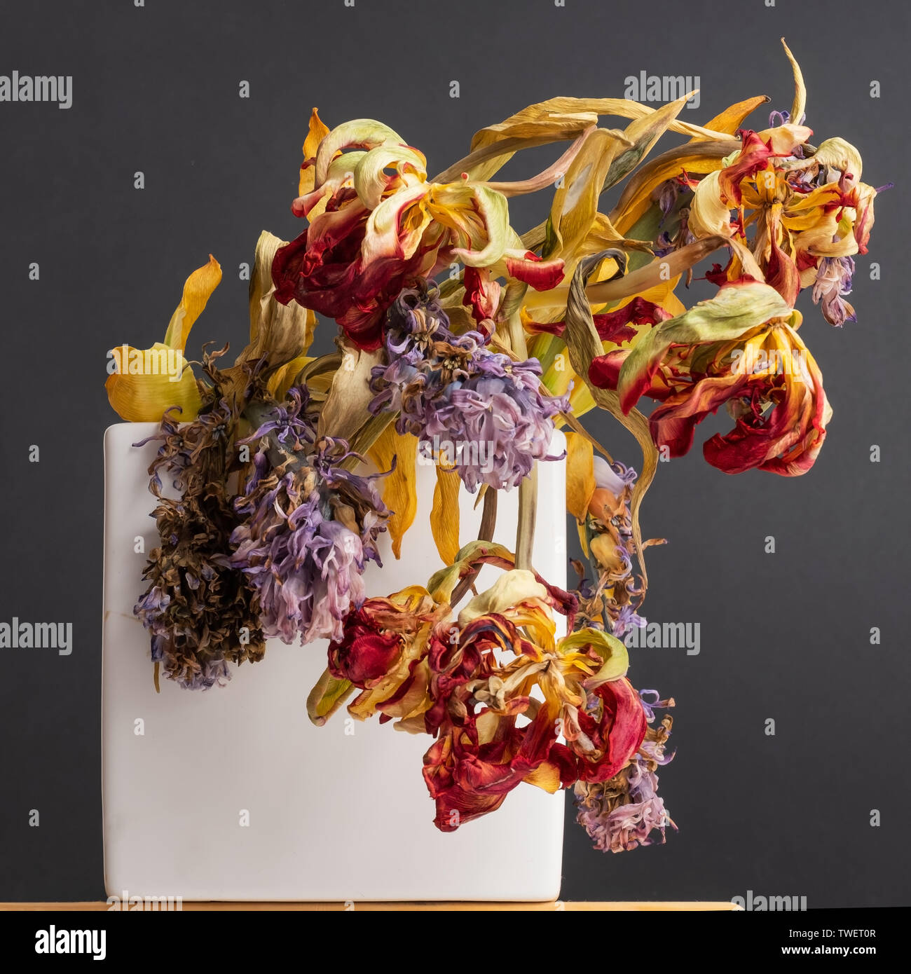 Withered flowers in vase on table on black wall Stock Photo - Alamy
