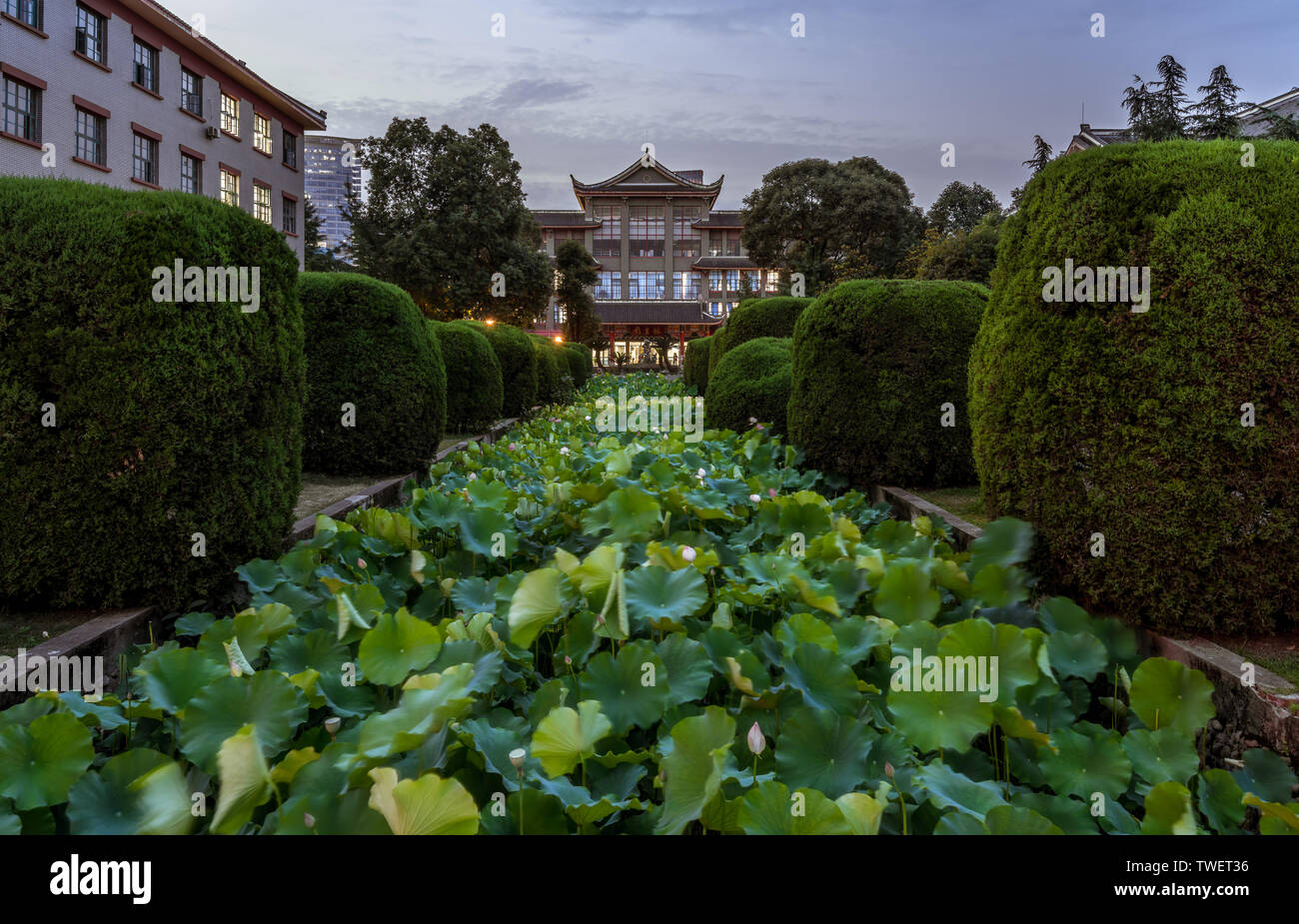 Teaching Building, Huaxi Campus, Sichuan University Stock Photo - Alamy