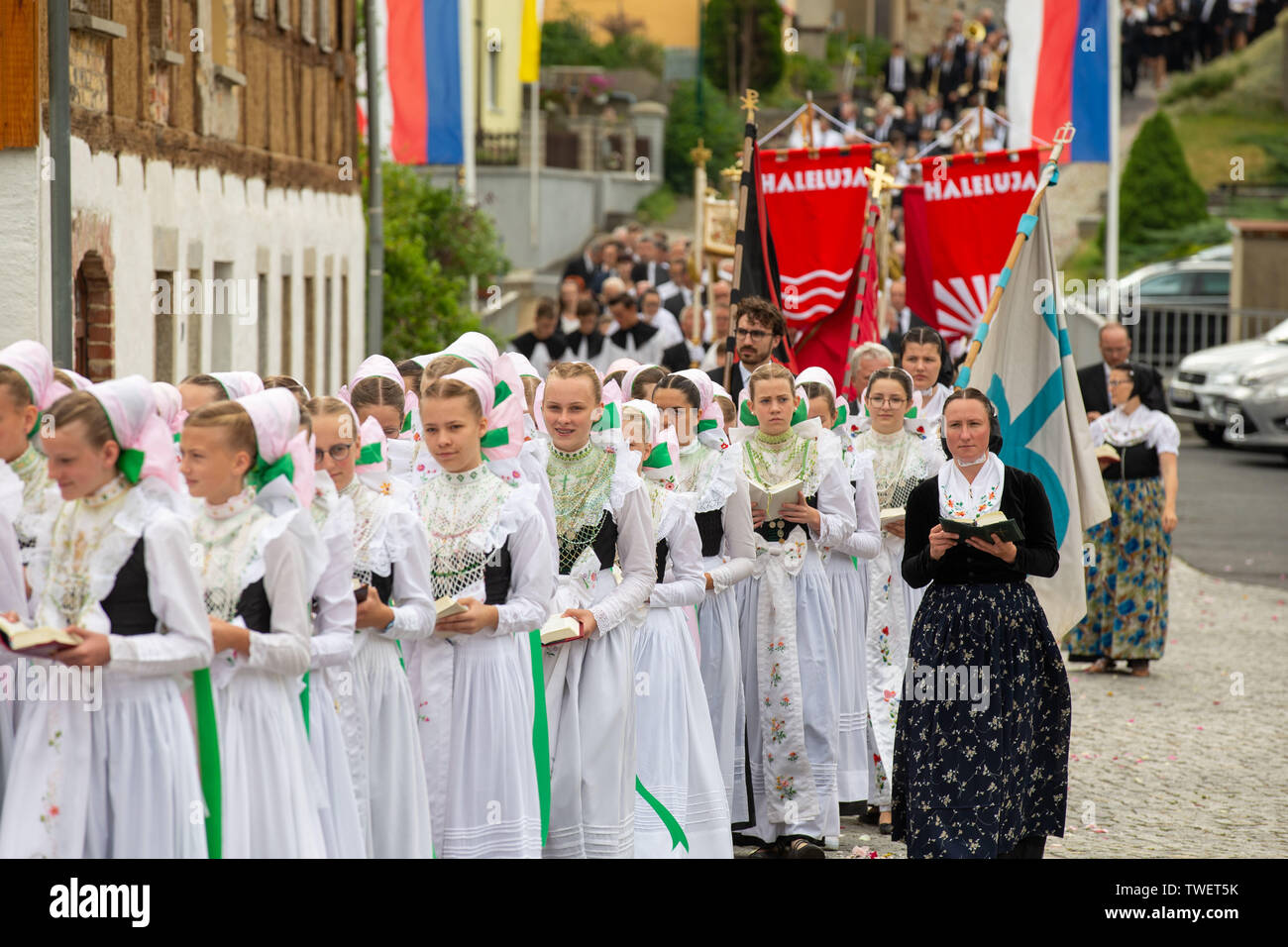 Crostwitz, Germany. 20th June, 2019. Druschki, the Sorbian bridesmaids ...
