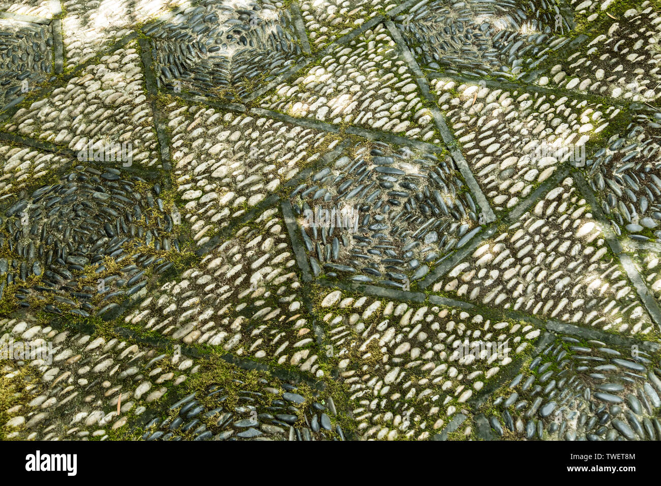 Chinese traditional paving walk way with moss closeup Stock Photo - Alamy
