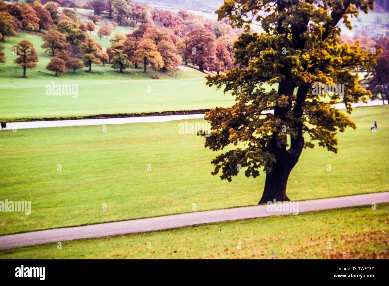 The pastoral landscape of England Stock Photo - Alamy