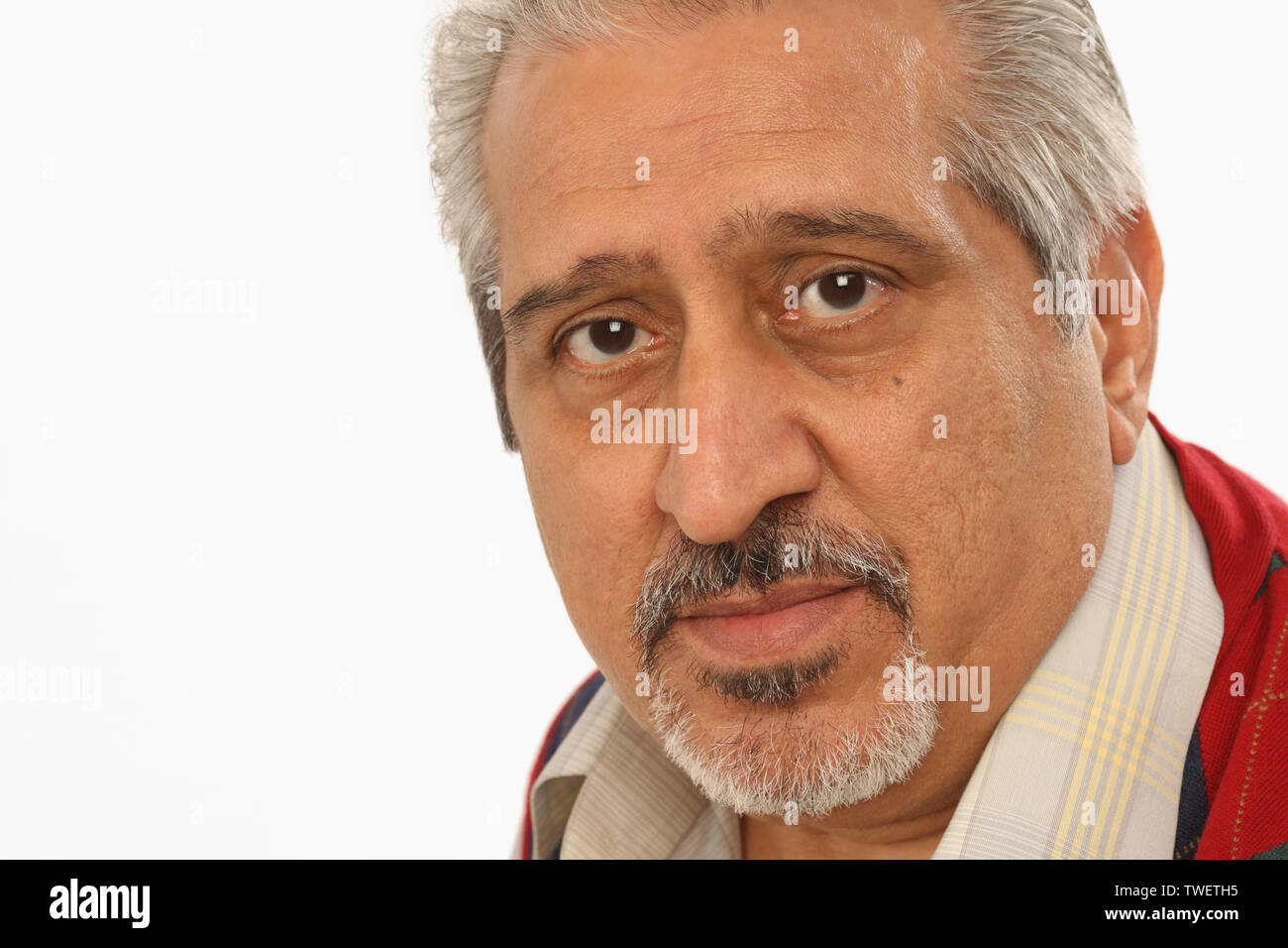 Portrait of an Indian confident man Stock Photo - Alamy