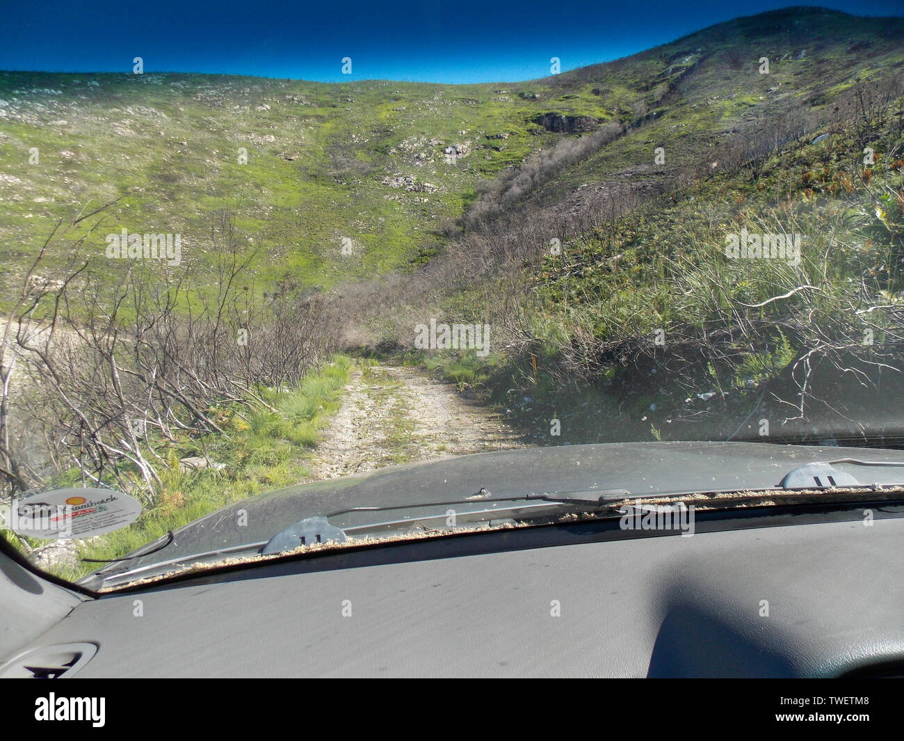 Off road driving Stock Photo - Alamy