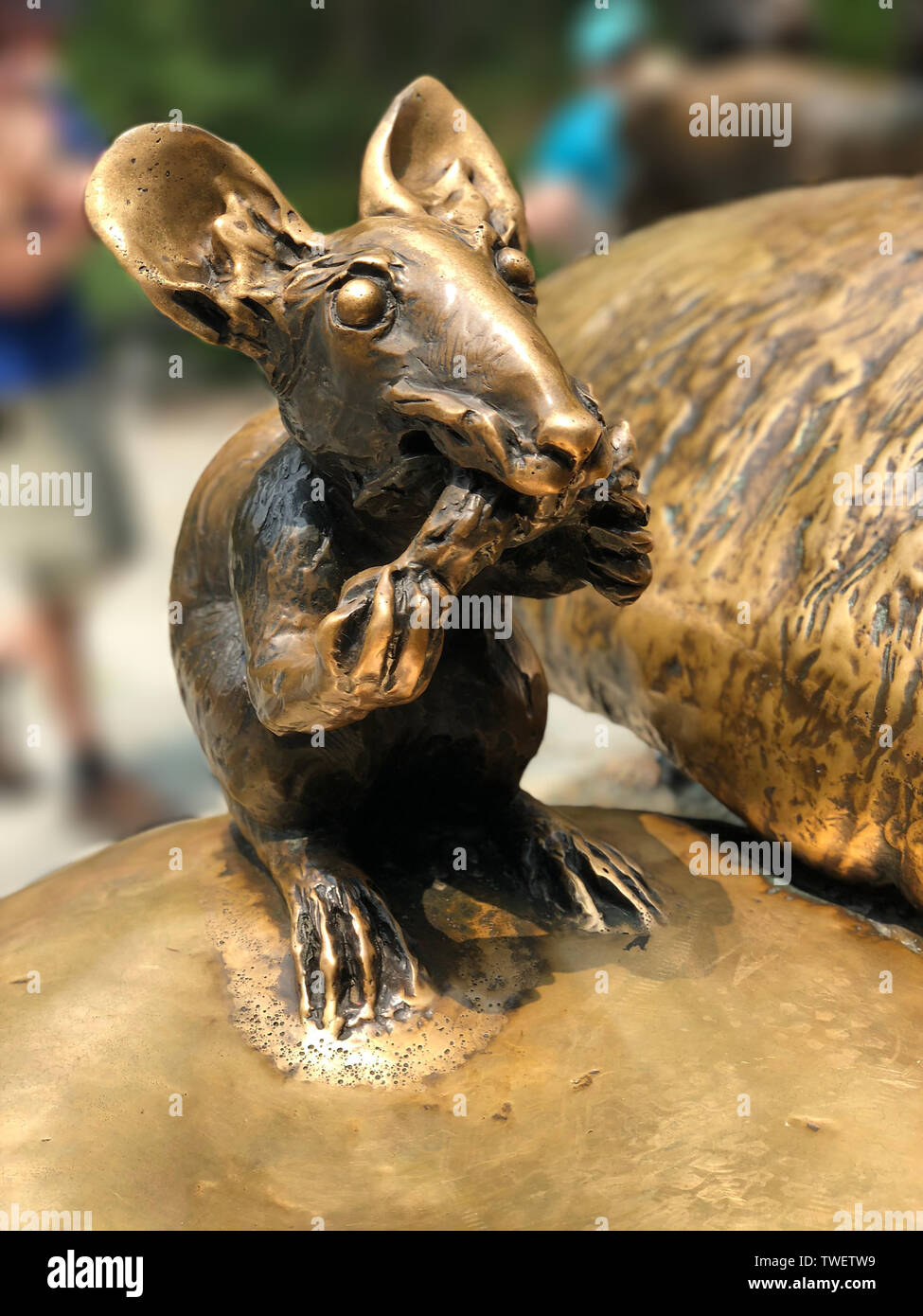 Close up of the Alice In Wonderland Statue, Central Park, New York City ...