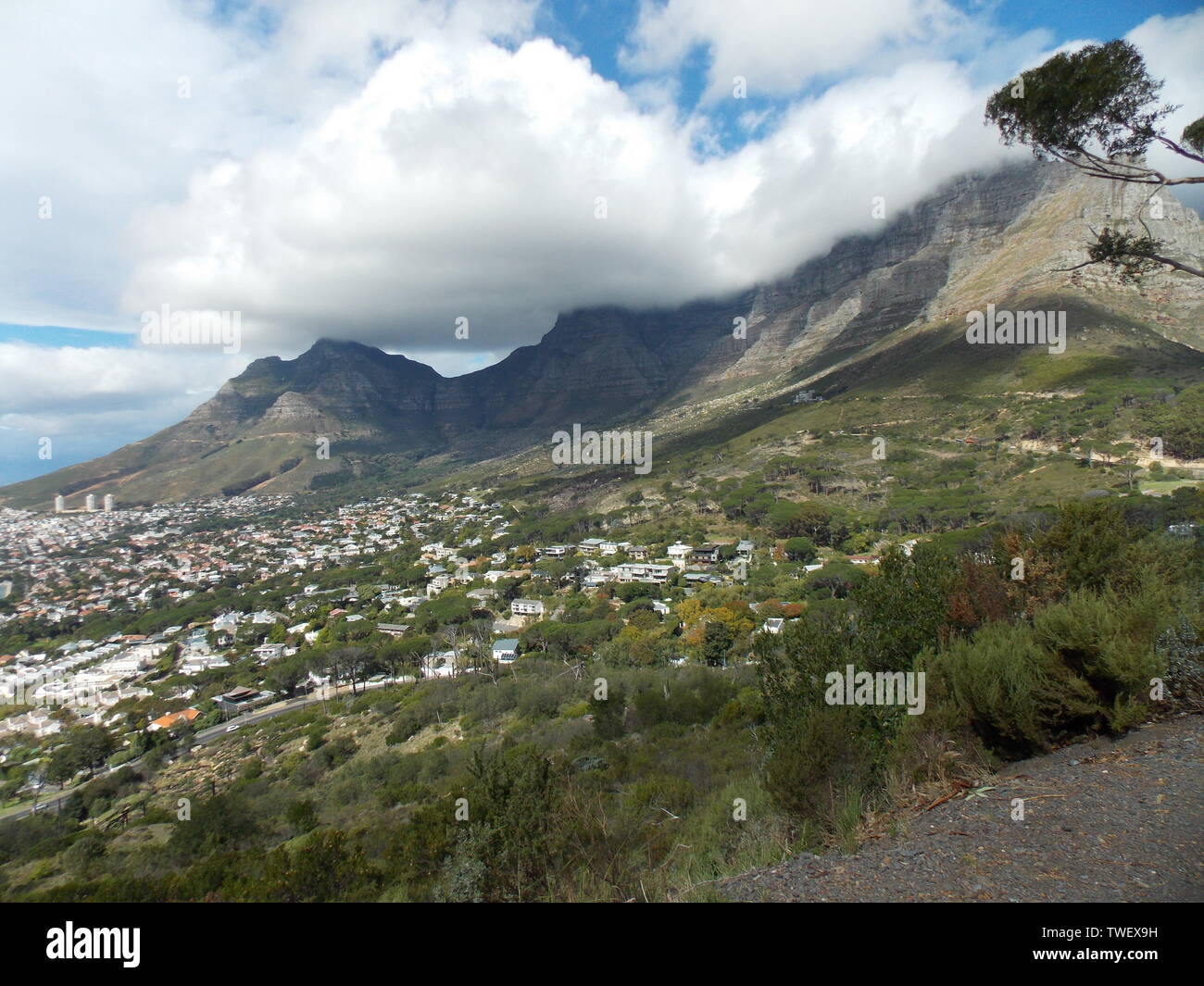 Table Mountain, Cape Town Stock Photo - Alamy