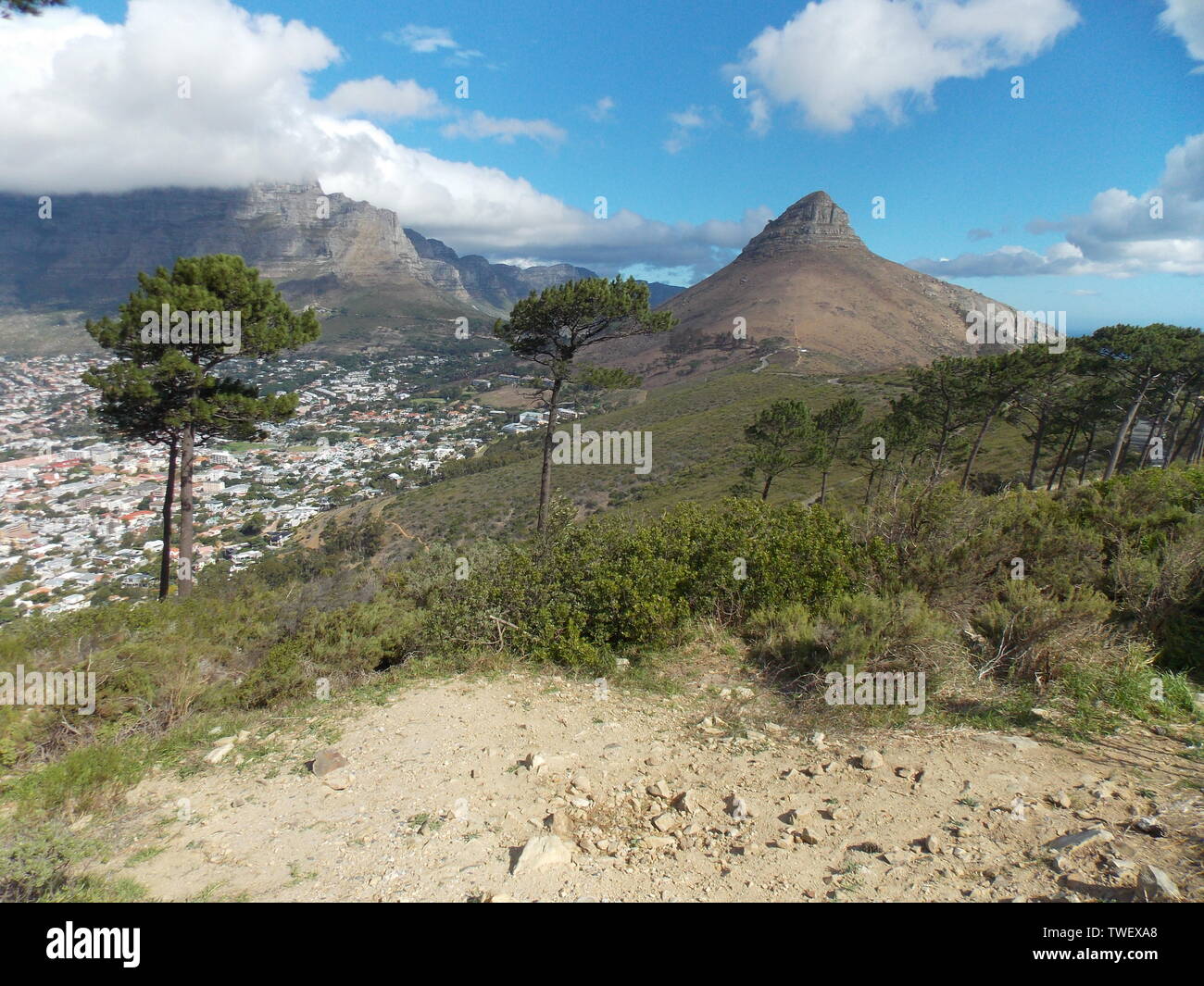 Signal hill view hi-res stock photography and images - Alamy