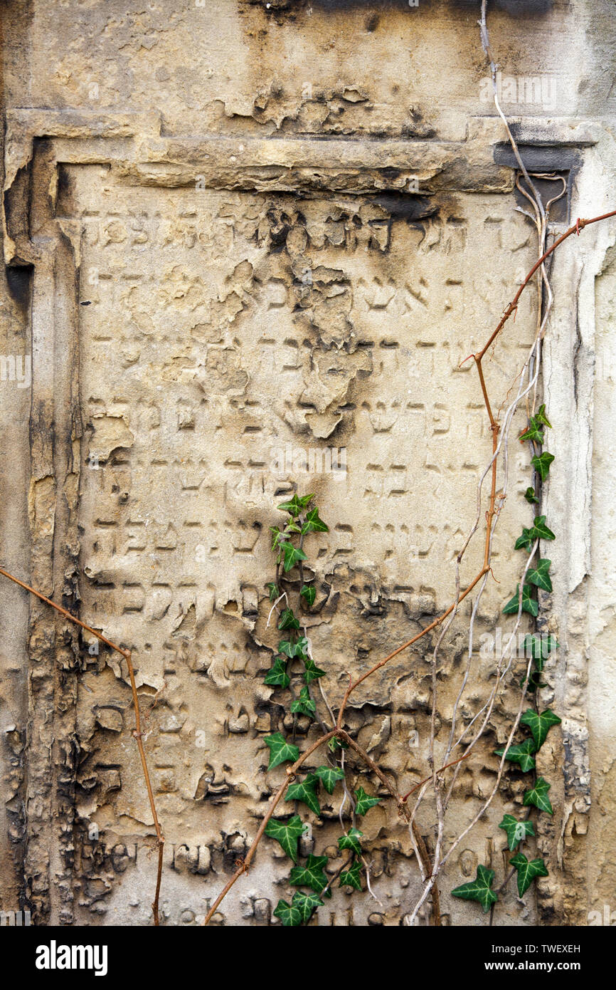 An old Jewish cemetery with religious symbols. Flowers on a background ...
