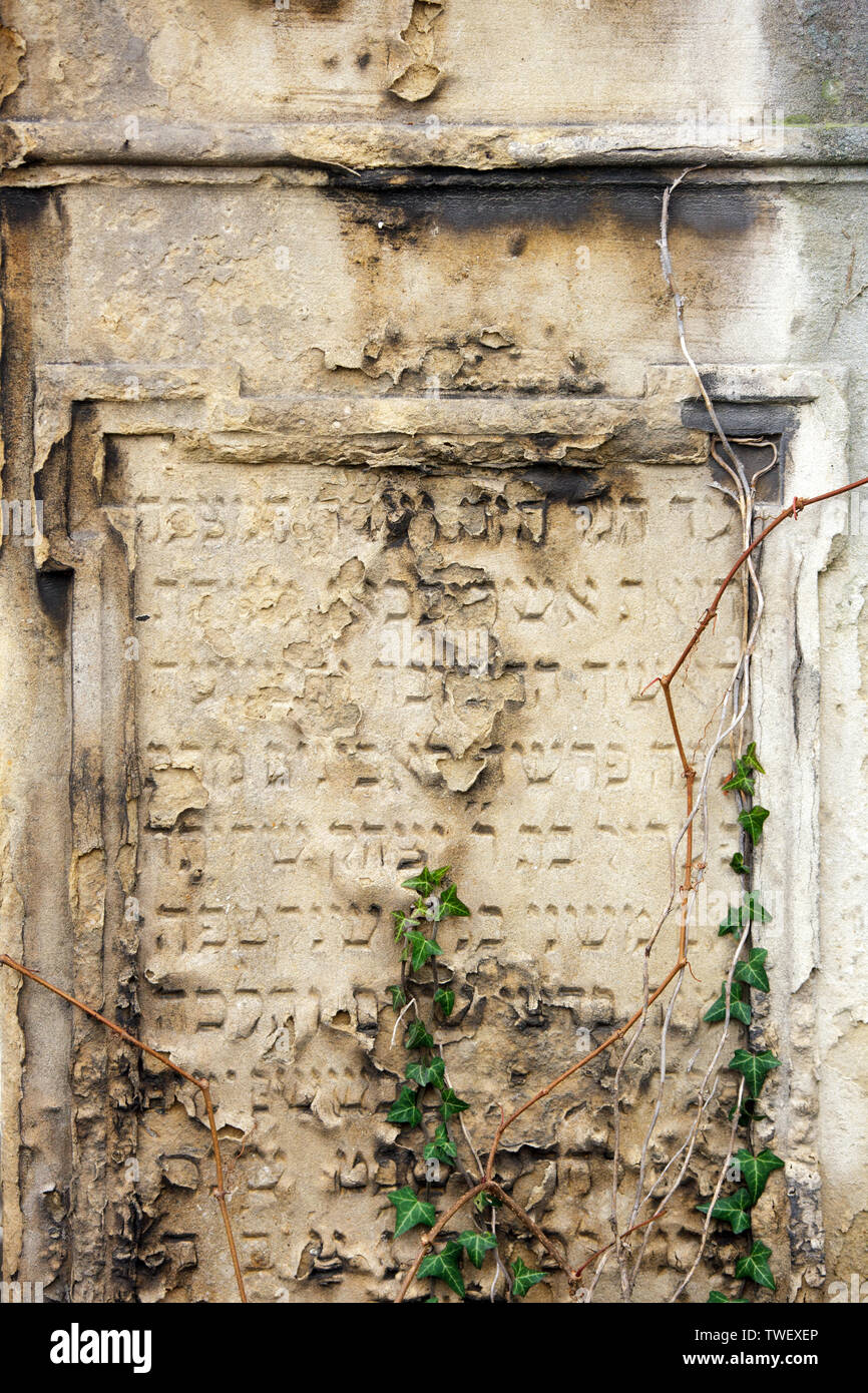 An old Jewish cemetery with religious symbols. Flowers on a background ...
