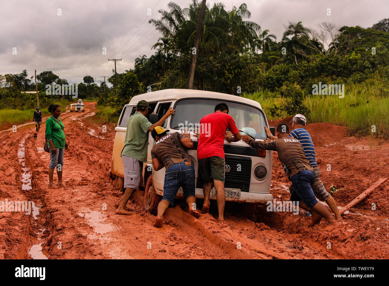 Mud fish brazil hi-res stock photography and images - Alamy