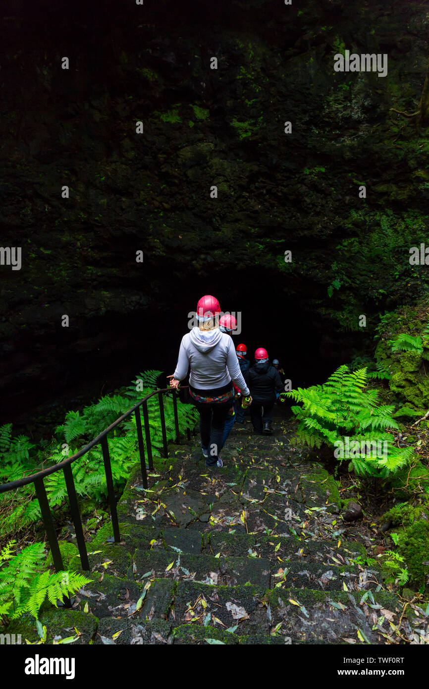 Lava cave Gruta das Torres, Municipality of Madalena, Pico Island ...