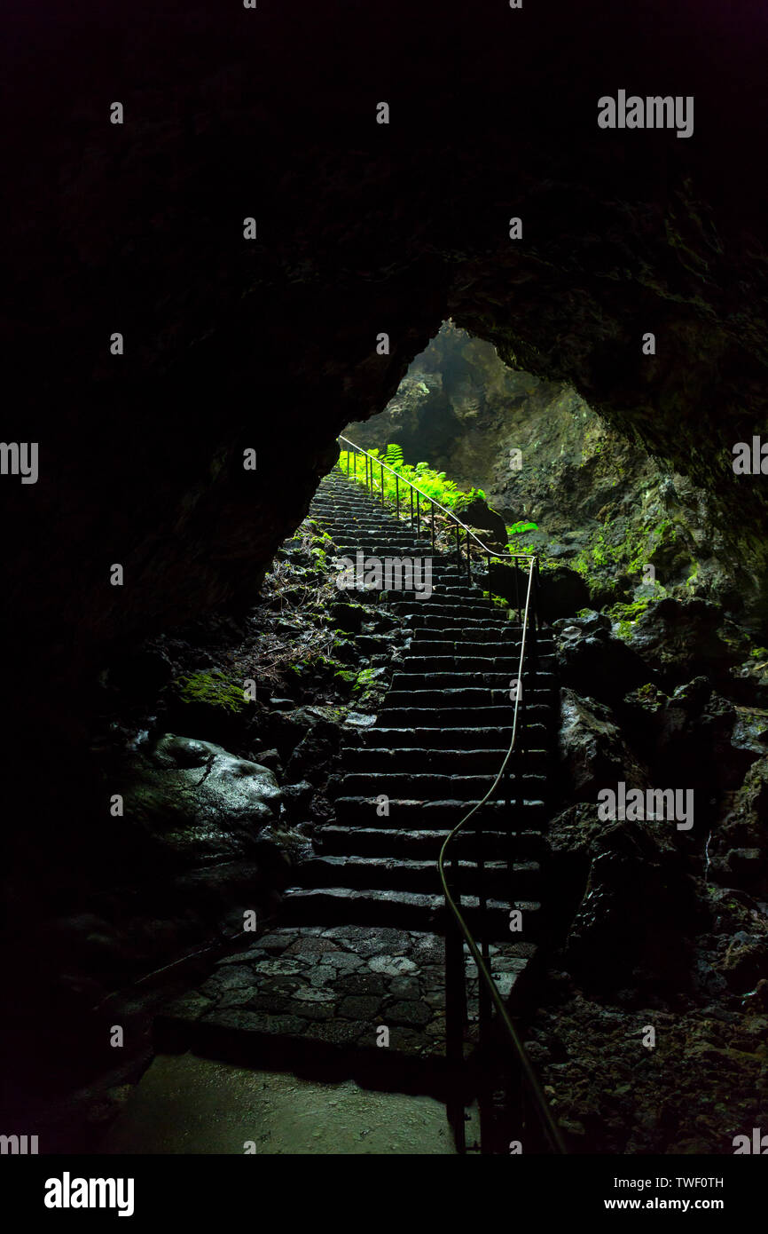 Lava cave Gruta das Torres, Municipality of Madalena, Pico Island ...