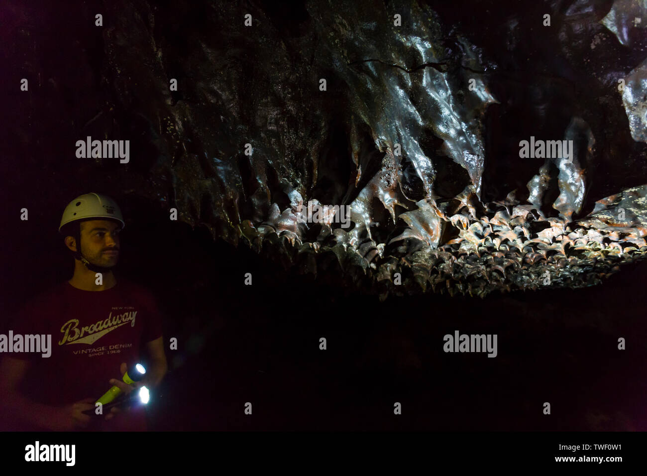 Lava cave Gruta das Torres, Municipality of Madalena, Pico Island ...