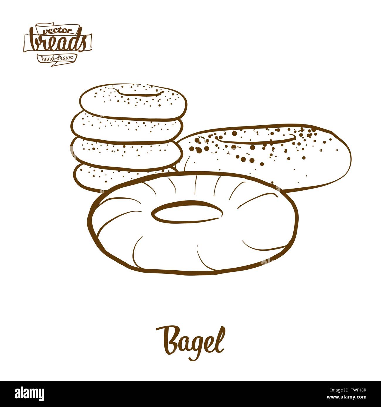 Bagel bread vector drawing. Food sketch of Yeast bread, usually known ...