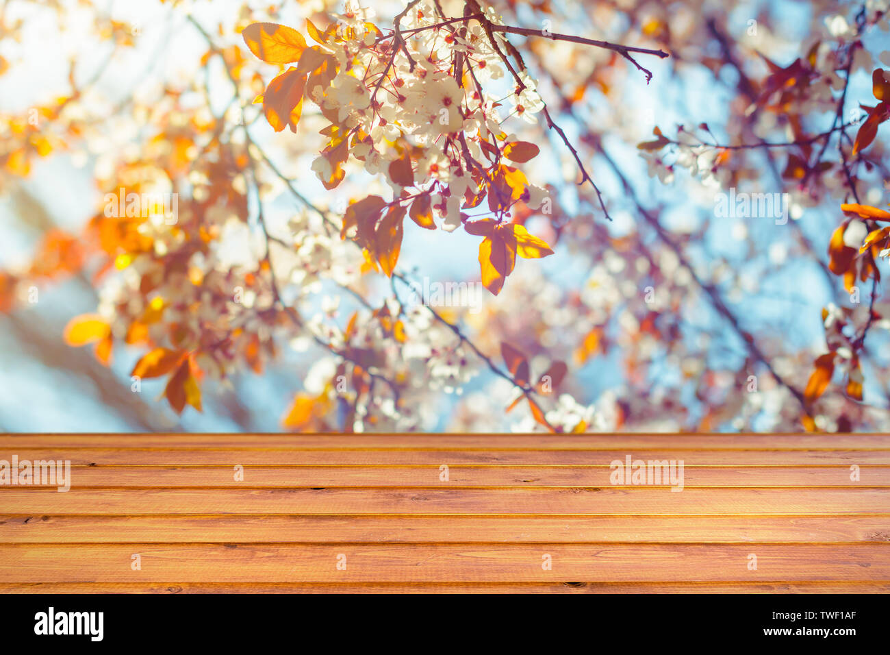 Spring background with wooden table Stock Photo - Alamy