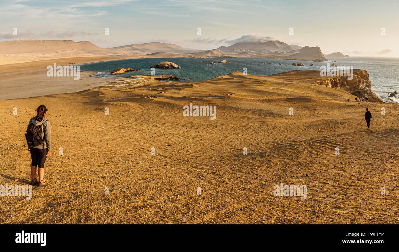 Tropical desert desert coast hi-res stock photography and images - Alamy