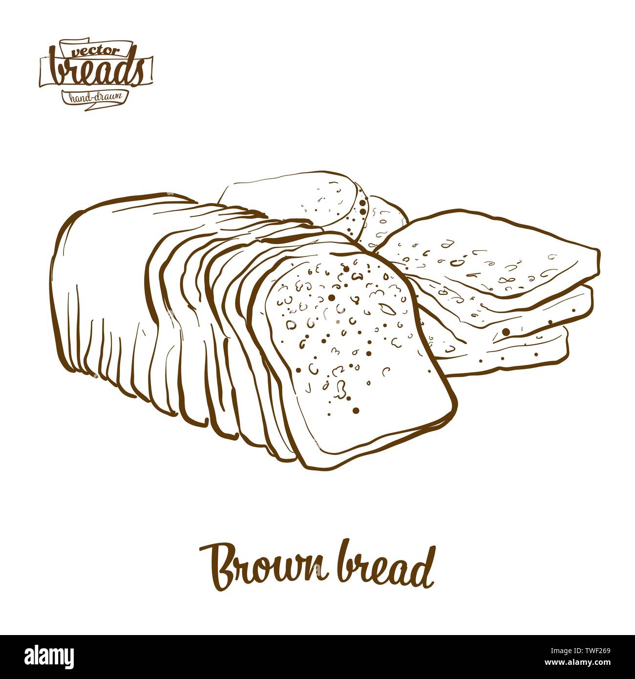 Bread Wheat Vector