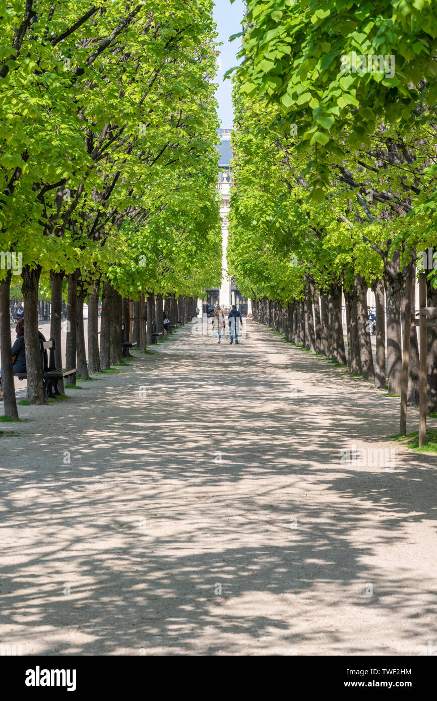 Tree alley and france hi-res stock photography and images - Alamy