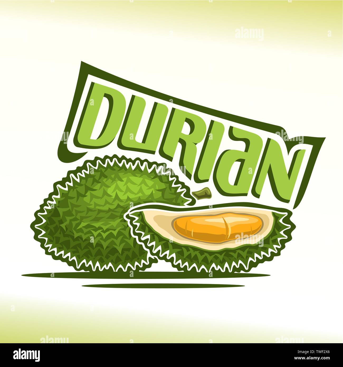 Vector logo for Durian Fruit Stock Vector Image & Art - Alamy