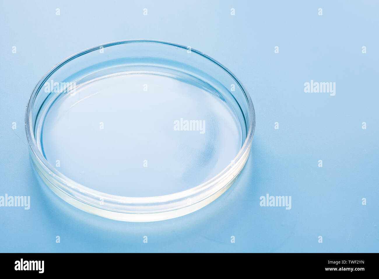 Pharmaceutical experiment hi-res stock photography and images - Alamy