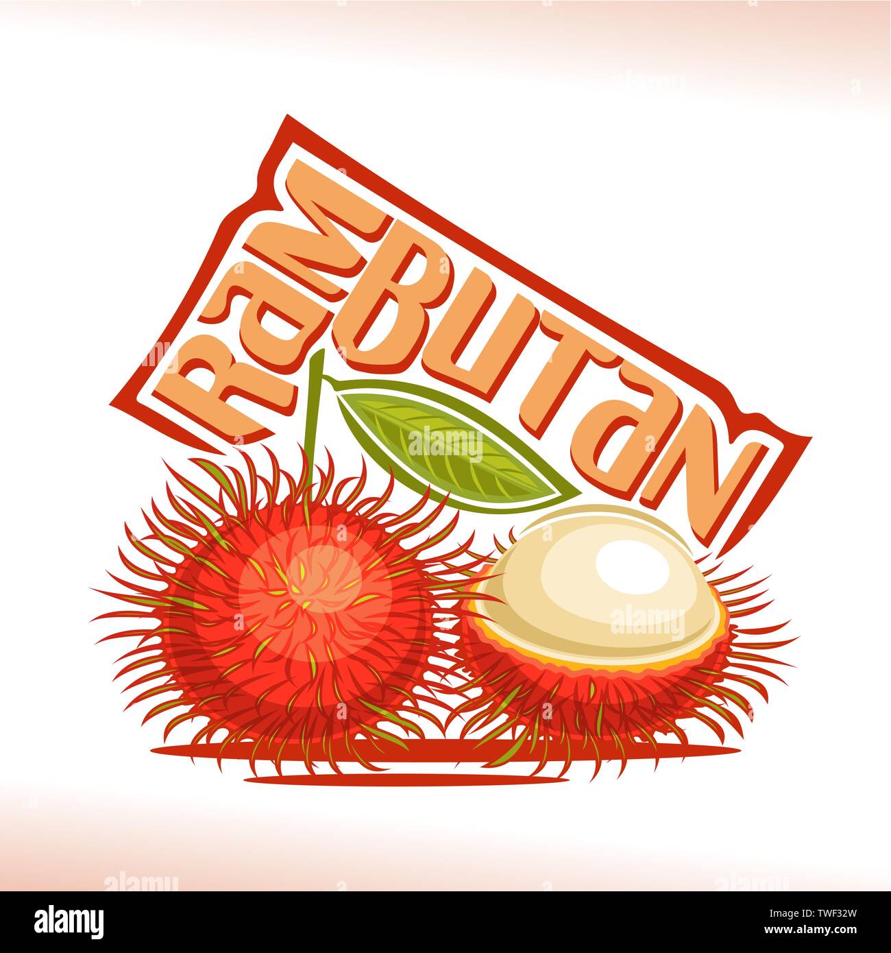 Vector logo for Rambutan Fruit Stock Vector Image & Art - Alamy