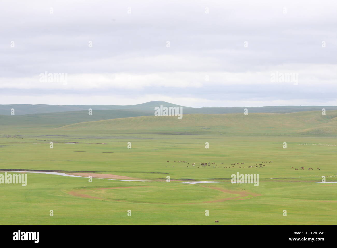 Erguna river erguna river wetland hi-res stock photography and images ...