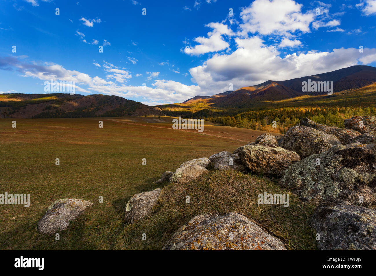 Northern xinjiang hi-res stock photography and images - Alamy