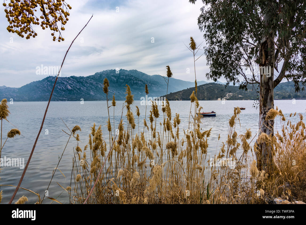Bafa Lake Nature Park High Resolution Stock Photography and Images - Alamy