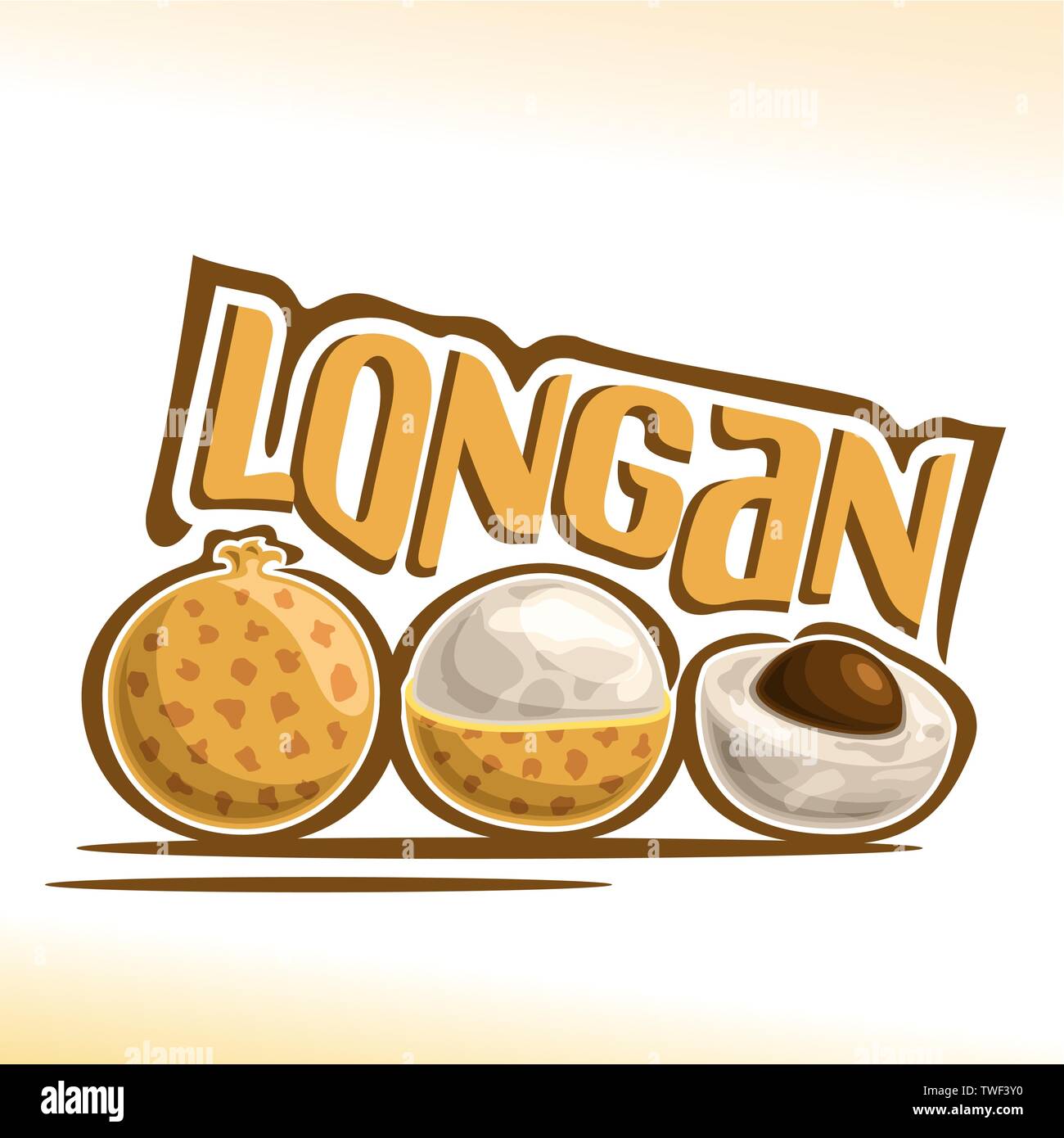 Vector logo for Longan Fruit Stock Vector Image & Art - Alamy