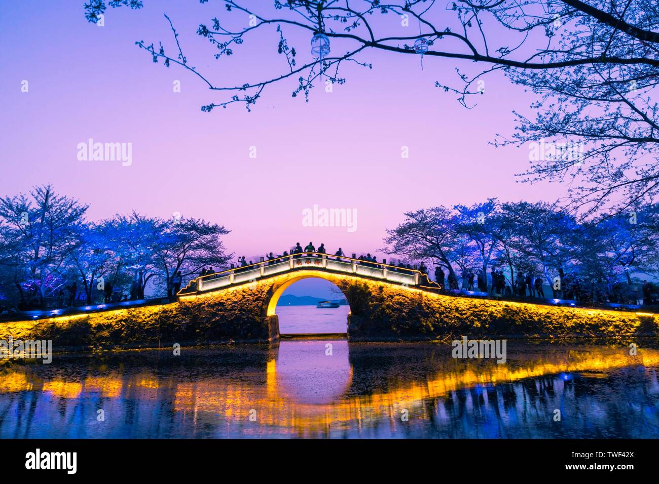 Touzhu night cherry, paired with Changchun Bridge, the bridge in the ...