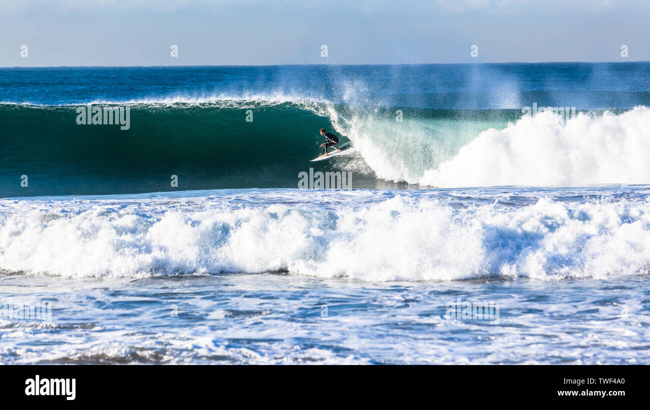 Surfing surfer rider rides hollow tube crashing ocean wave morning ...