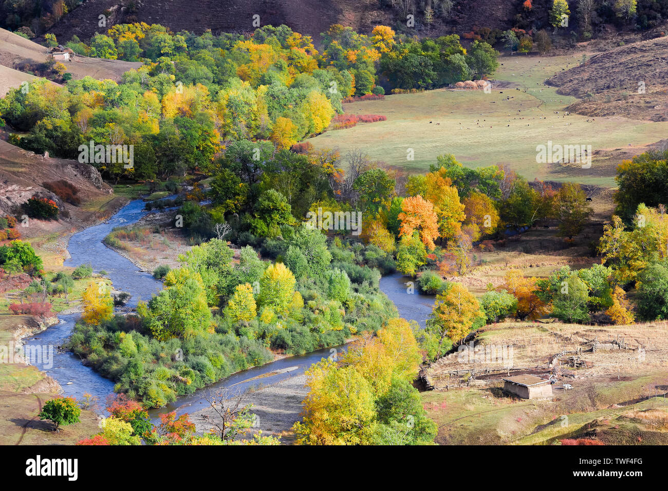 All of the images are from Narathi grassland, Turgen apricot flower ...