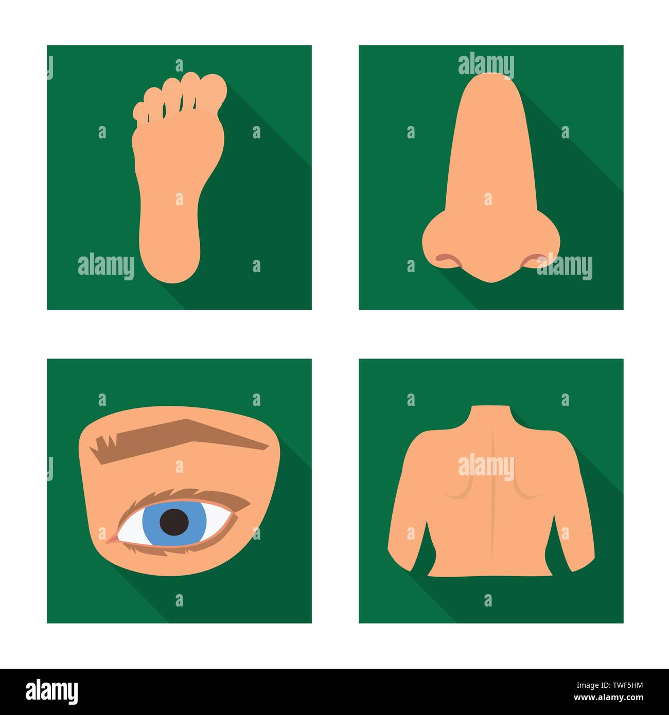 Vector illustration of body and part icon. Collection of body and ...