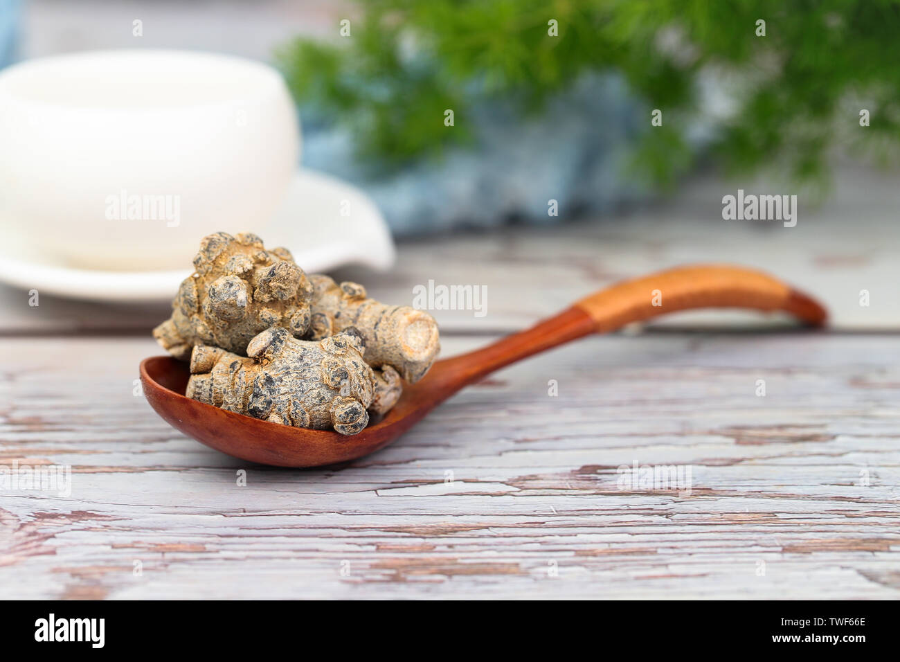 Chinese medicinal materials 37 Stock Photo - Alamy