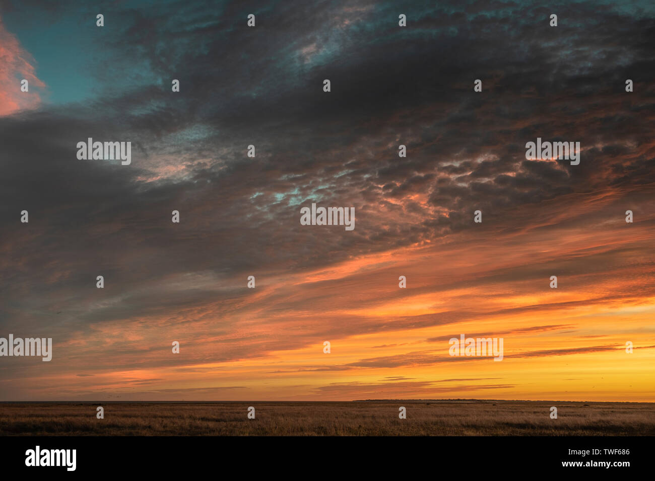 Thornham at sunrise looking over the salt marshes Stock Photo - Alamy