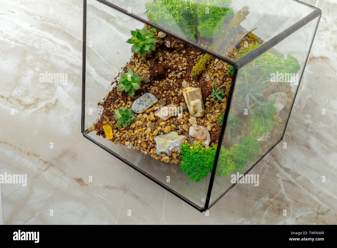 Glass florarium hi-res stock photography and images - Alamy