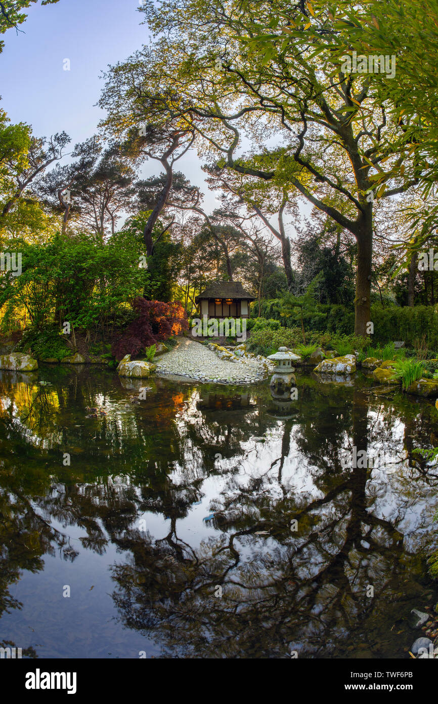 Pinetum Garden; Cornwall; UK Stock Photo - Alamy