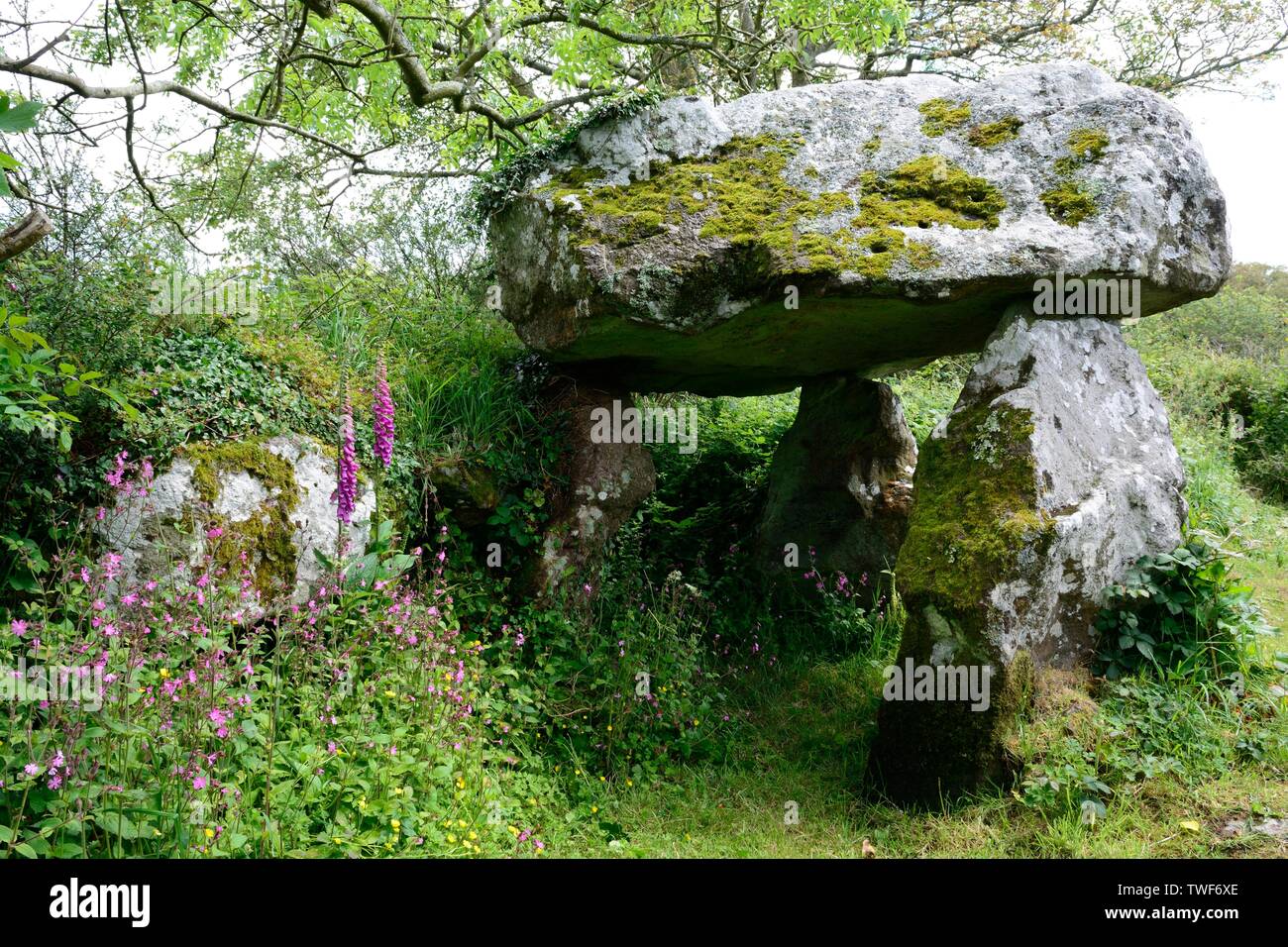 Capstone hi-res stock photography and images - Alamy