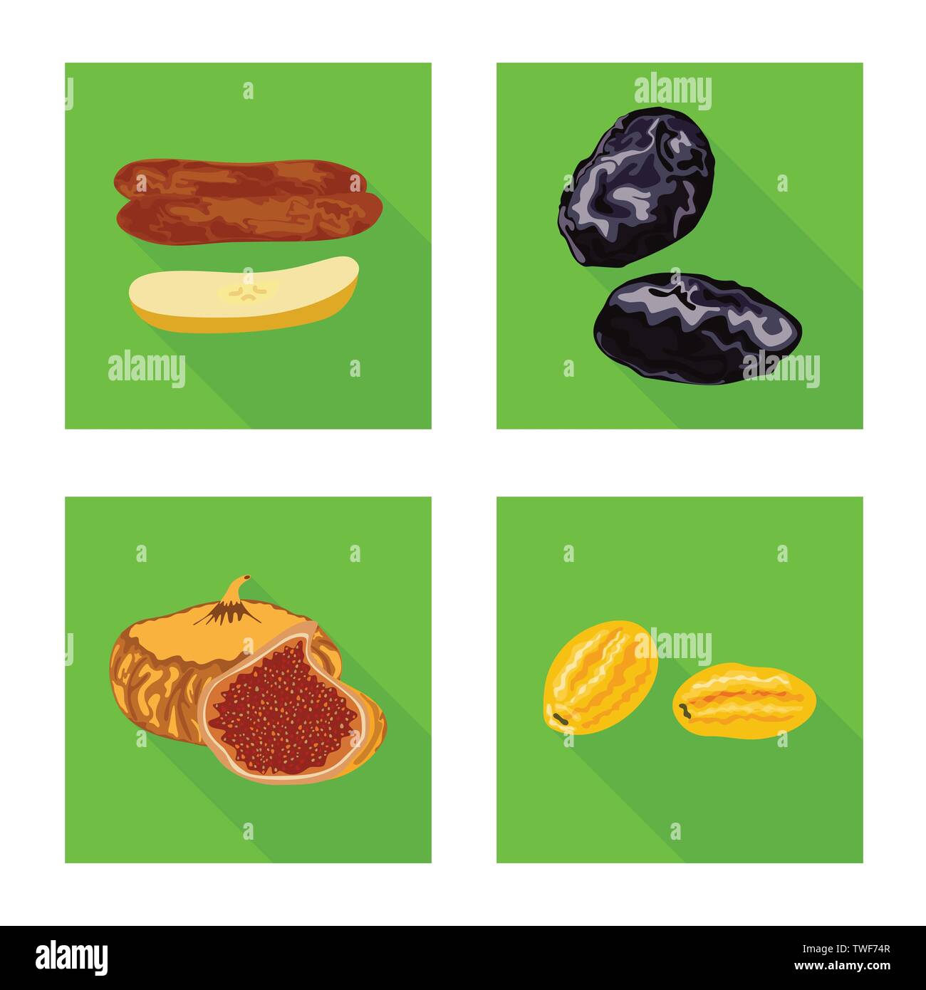 Vector design of fruit and dried sign. Set of fruit and food stock ...