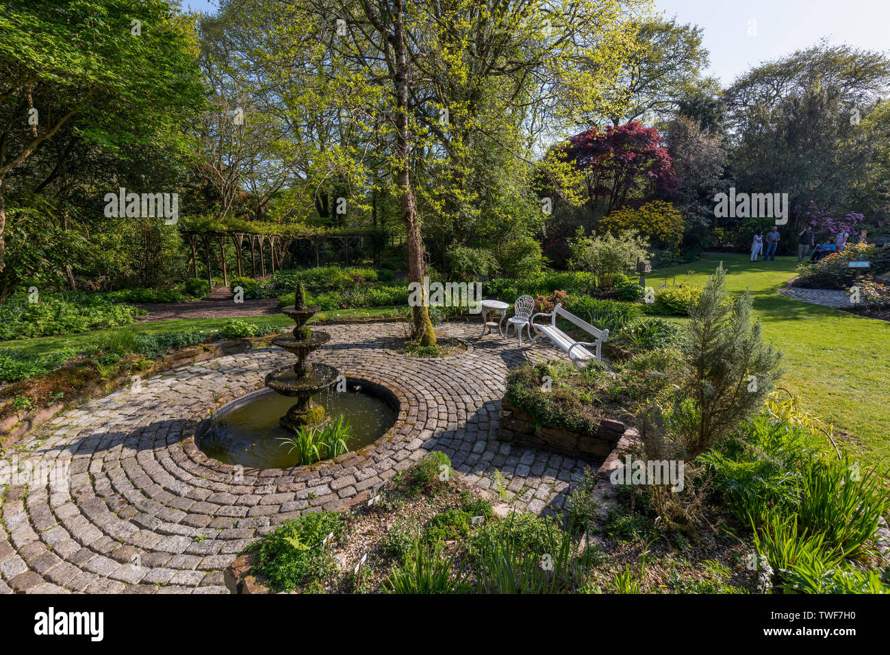 Pinetum Garden; Cornwall; UK Stock Photo - Alamy