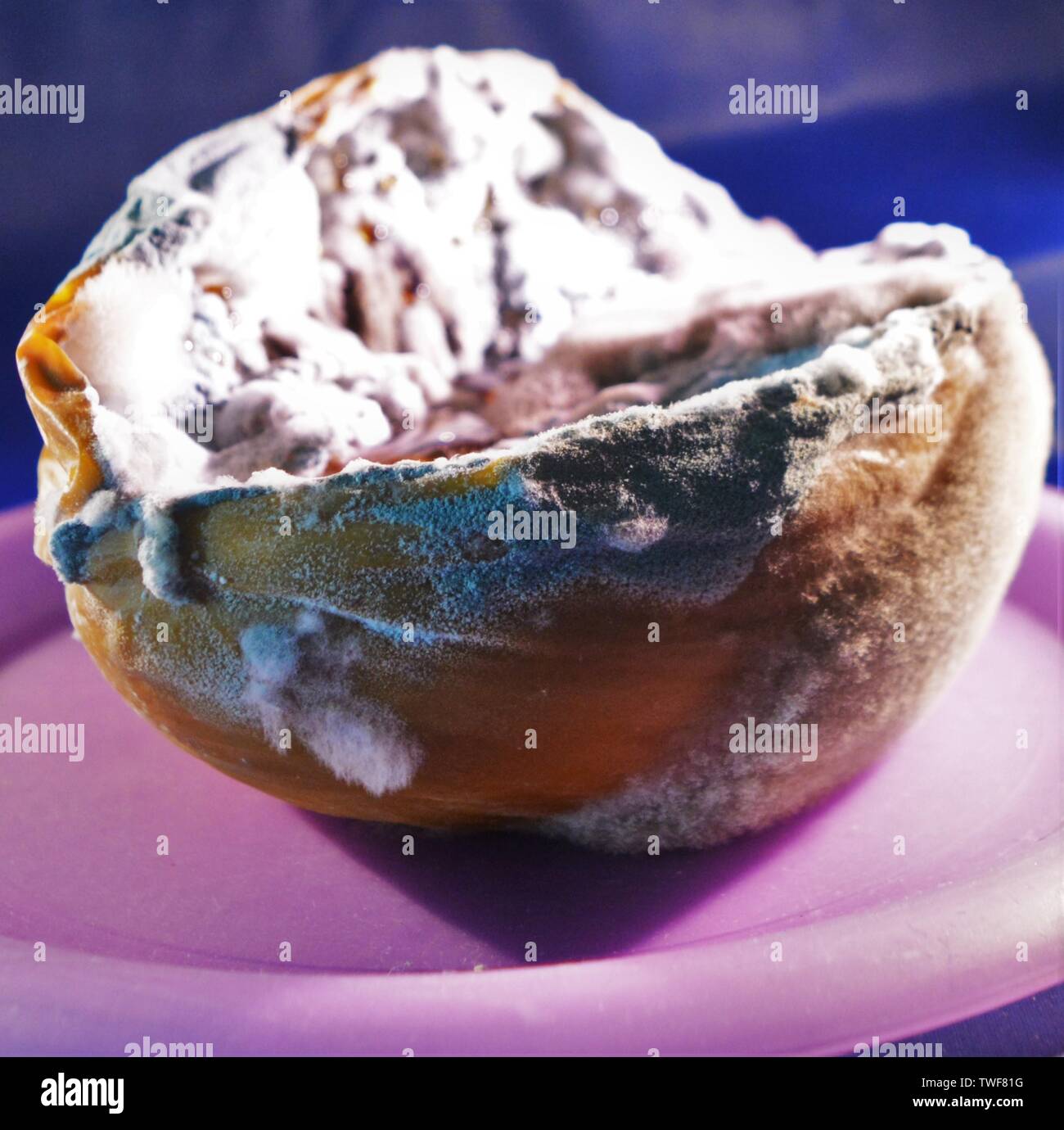 State of decay, daily sequence of the decay of a watermelon, slowly ...