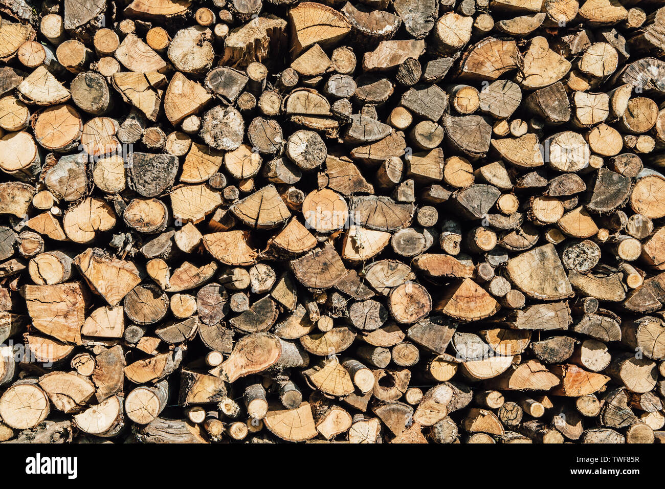 Wood Pile Stacked Logs Stock Photo - Alamy