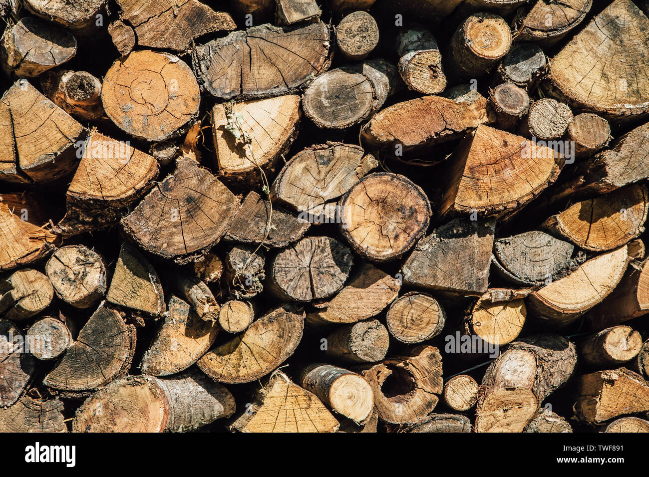 Wood Pile Stacked Logs Stock Photo - Alamy