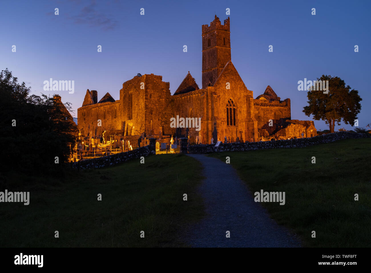 The ruins of the medieval Quinn Abbey in Quinn, Ireland lit up against ...