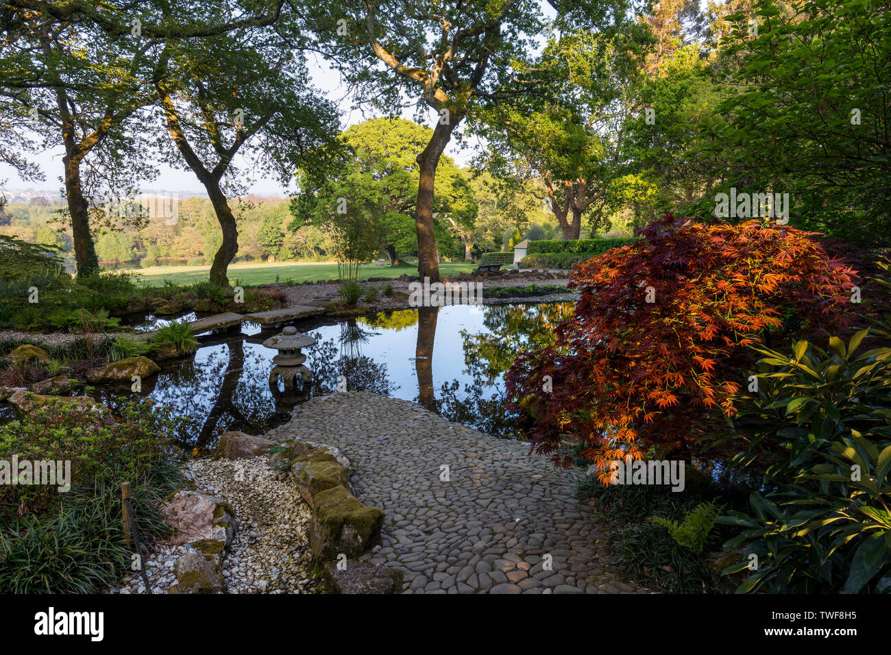 Pinetum Garden; Cornwall; UK Stock Photo - Alamy