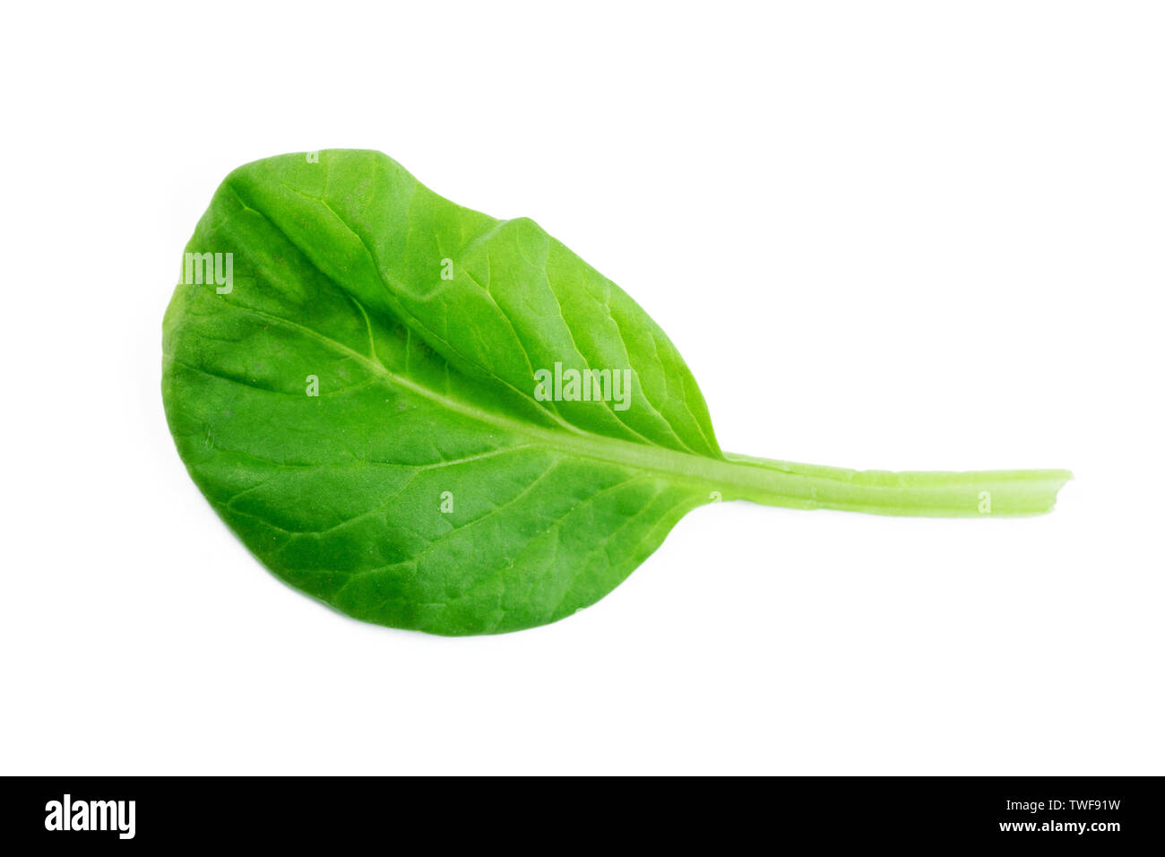 Spinach isolated on white background Stock Photo - Alamy